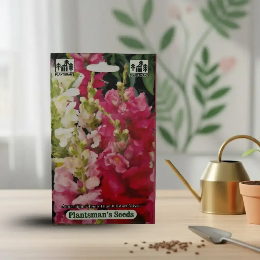 Antirrhinum Flower Seeds | Dwarf, Multi-Colored Blooms